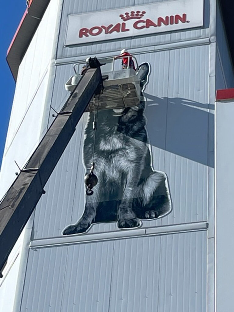 Royal Canin Building Signs - Sign Dimensions